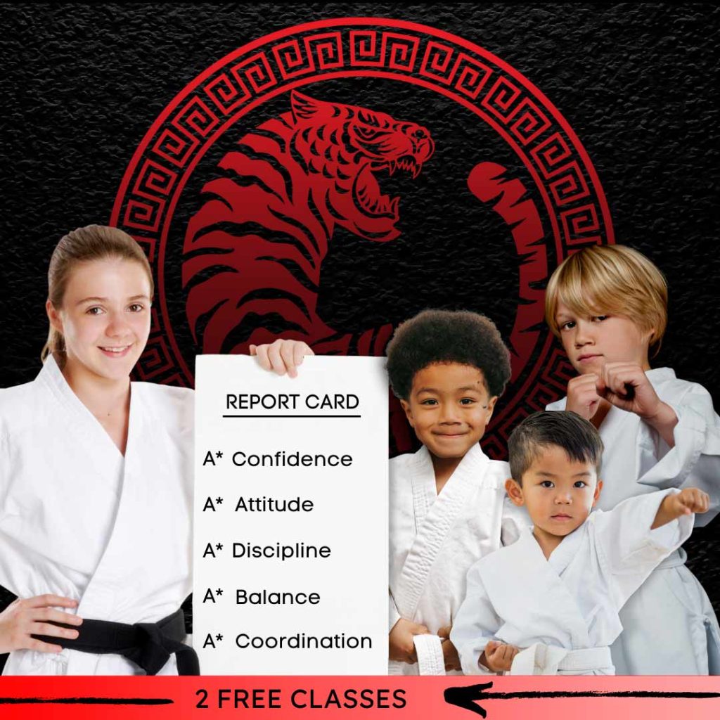 St Neots Karate Club - zanshinkaratedojo.co.uk
