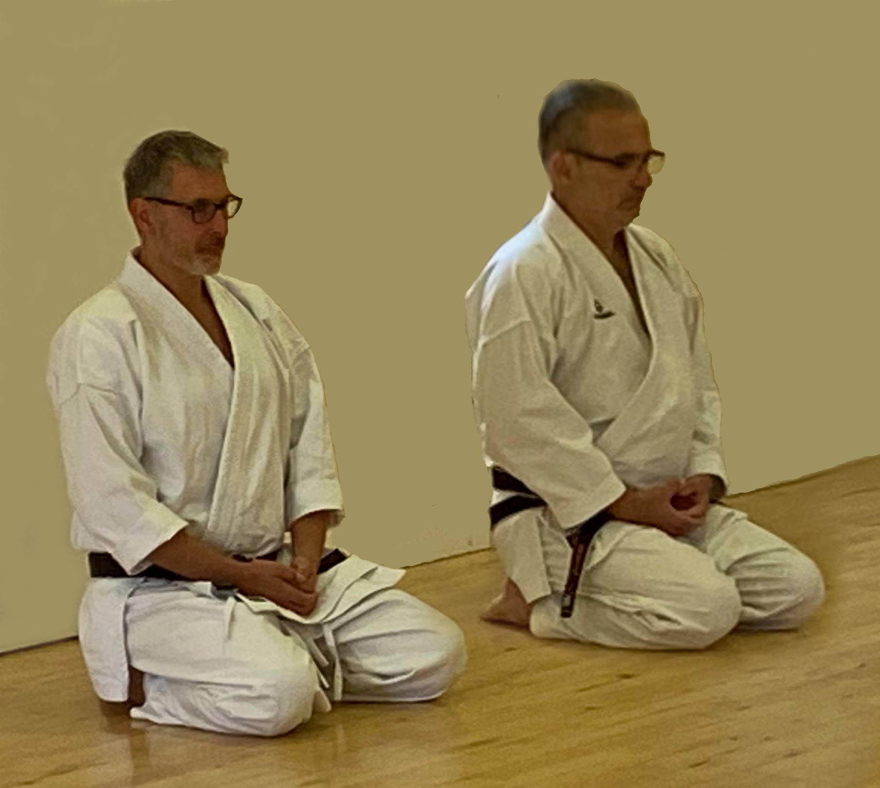 Houghton Karate Classes